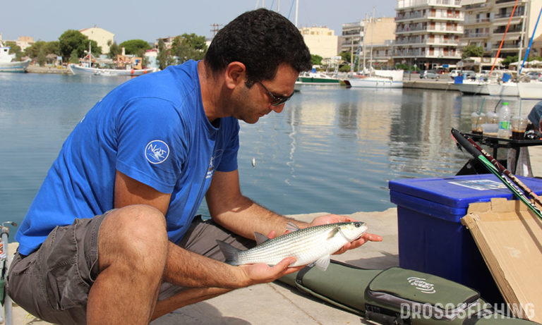 Match Fishing: Κέφαλοι σε Καθαρά Νερά, με Παράμαλλα Μονοψήφιας ...