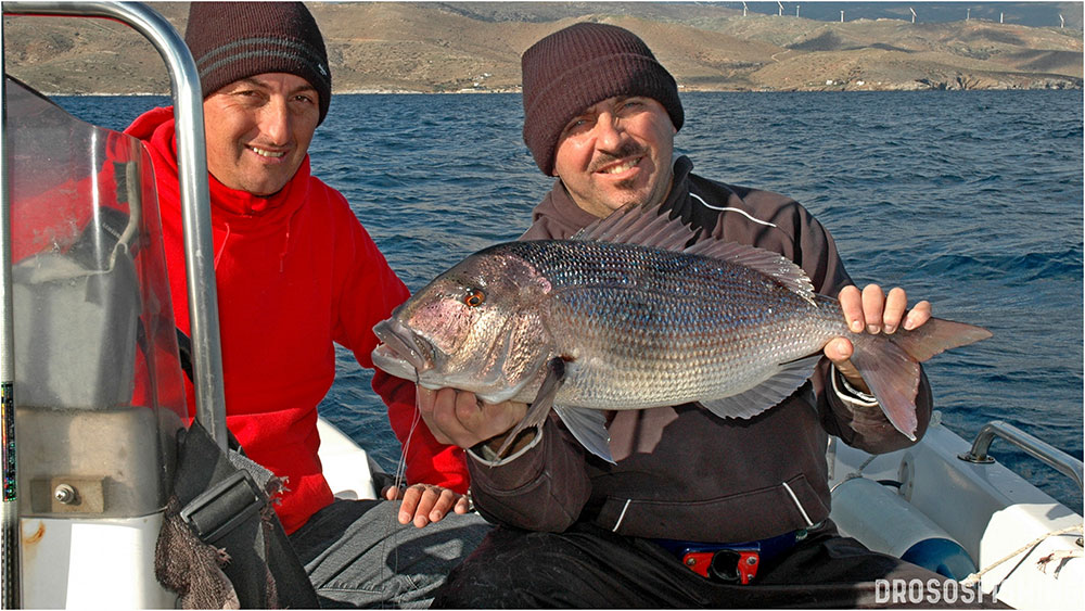 Βίντεο: Συρτή Φύλακας με Ζωντανό Καλαμάρι - DrososFishing - Τα πάντα ...
