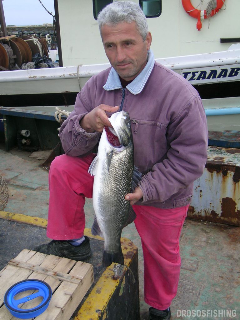 Λαβράκια: Με Τέχνη & με Δόλο - DrososFishing - Τα πάντα για το ψάρεμα