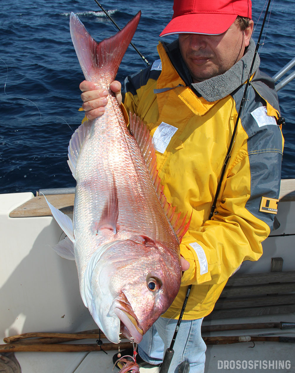 slow-inchiku-jigging-drososfishing-o1 - DrososFishing - Τα πάντα για το ...