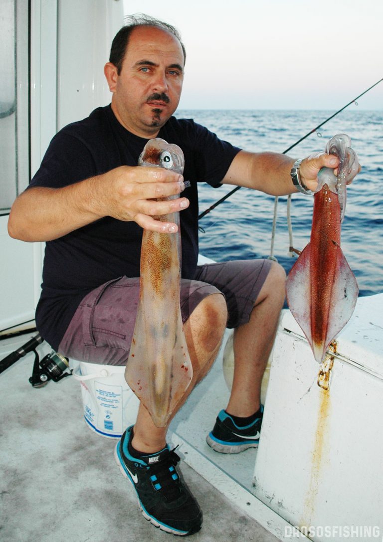 Βίντεο: Καλοκαιρινό Ψάρεμα Καλαμαριών - DrososFishing - Τα πάντα για το ...