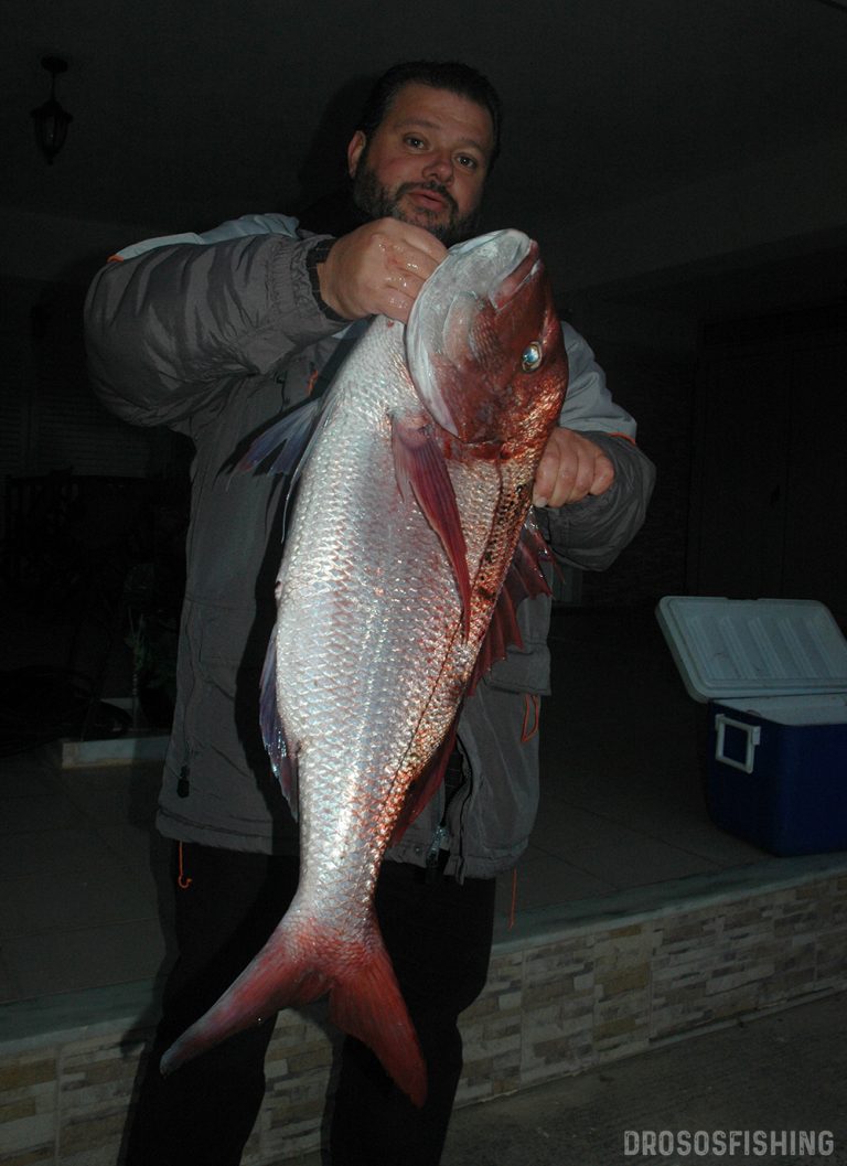 Αφιέρωμα: Φαγκρί, Τσαούσι & Τρόποι Ψαρέματος - DrososFishing - Τα πάντα ...