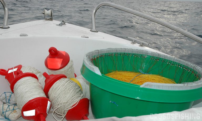 fagri-afieroma-paragadi-3-drososfishing - DrososFishing - Τα πάντα για ...